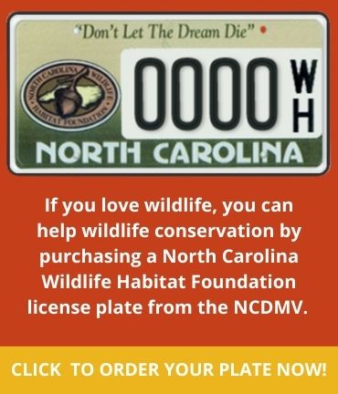 License Tags – North Carolina Wildlife Habitat Foundation